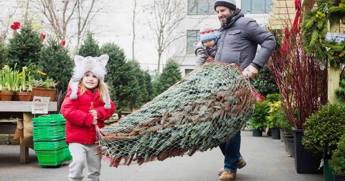 New York City’s Iconic Christmas Tour | GetYourGuide