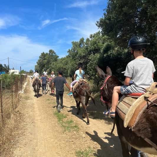 Donkey Riding - Coastline Ride | GetYourGuide