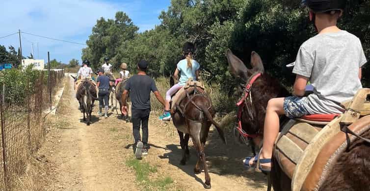 Donkey Riding - Coastline Ride | GetYourGuide
