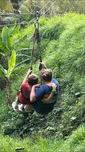 Roatan: Zipline, Sloths & Monkeys hang out plus Island Tour | GetYourGuide