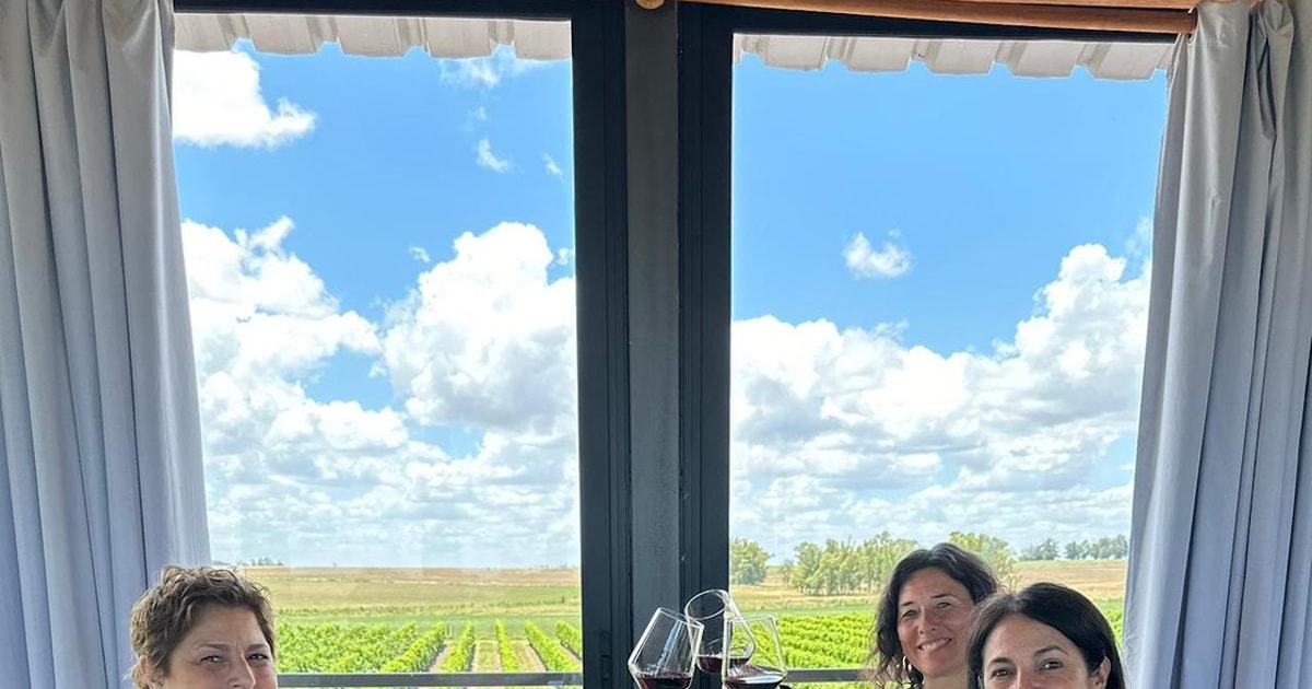 Colonia Wine Experience para amantes de la comida y el vino | GetYourGuide