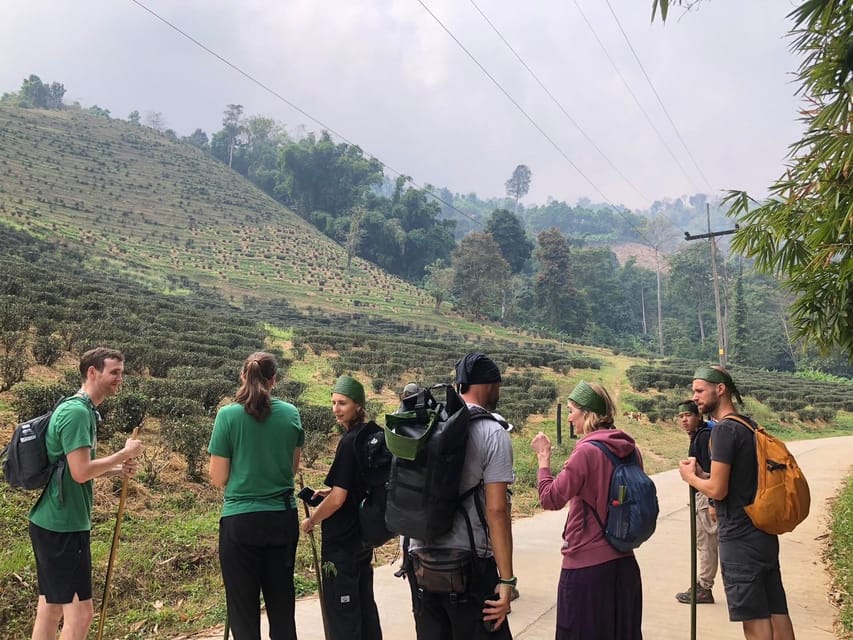 Chiang Rai: Jungle Avontuur-Groep trektocht & Bamboe koken | GetYourGuide