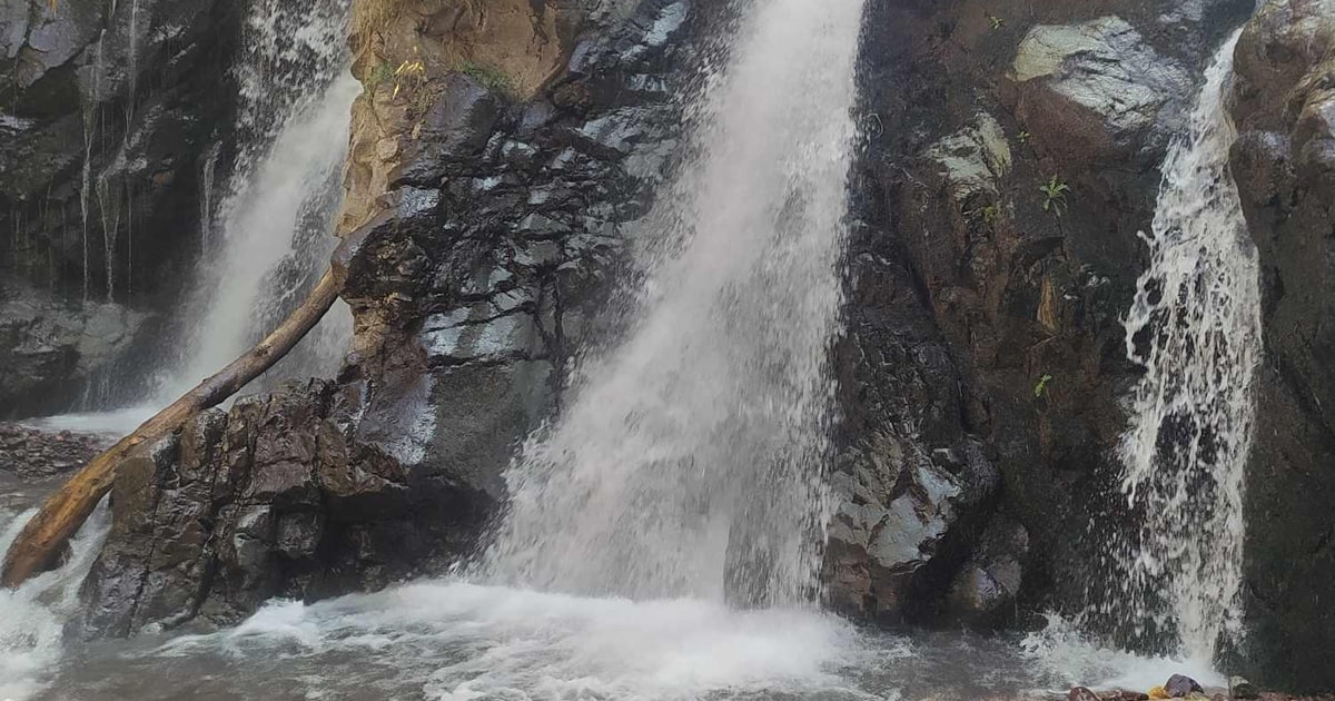 Excursie de o zi în Munții Atlas cu 4 ore de drumeție | GetYourGuide
