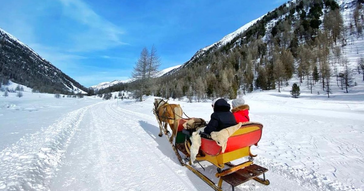 Livigno: Horse-Drawn Sleigh Ride with Blankets | GetYourGuide
