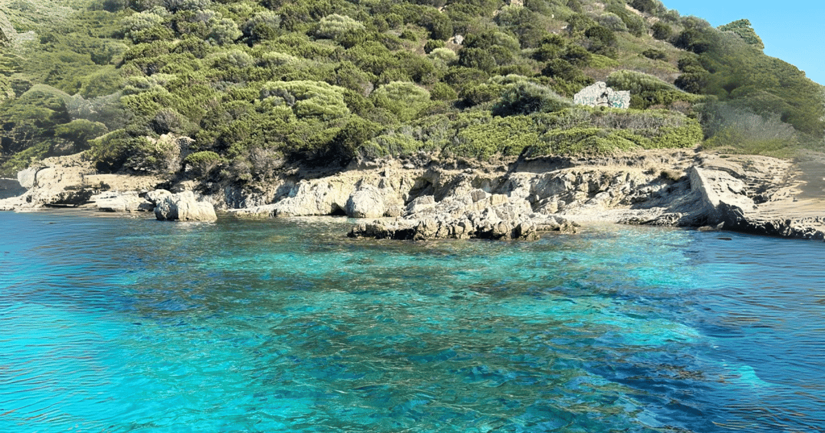 Insel Tavolara: Bootsausflug zwischen Tavolara, Molara und Buchten ...