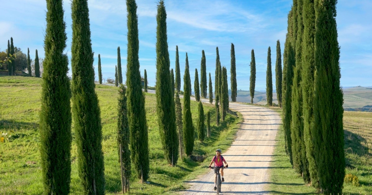 Florence: Chianti E-Bike Tour with Wine Tasting and Lunch | GetYourGuide