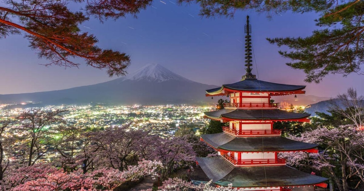 Von Tokio: Individuelle Tour zum Fuji mit englischsprachigem Fahrer ...