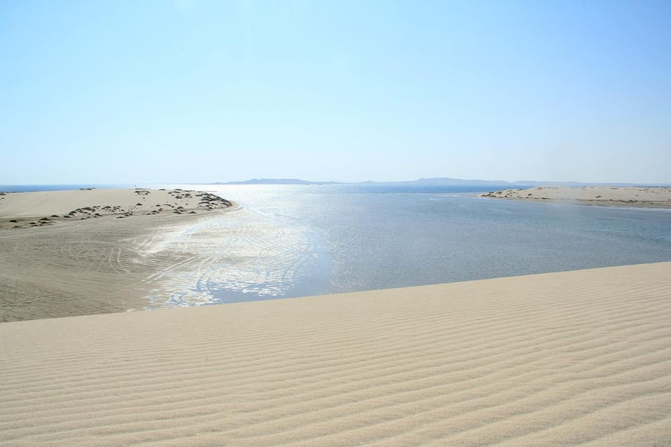 Doha: Desert Safari with Sandboarding and Inland Sea | GetYourGuide