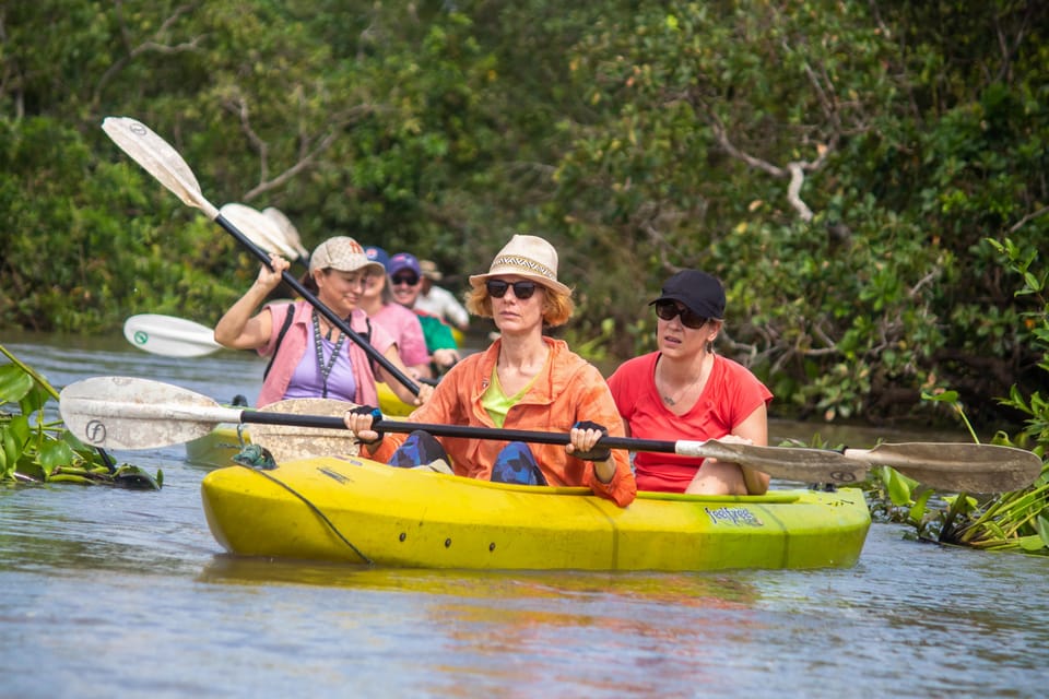 Kayaking & Floating Village in Siem Reap | GetYourGuide
