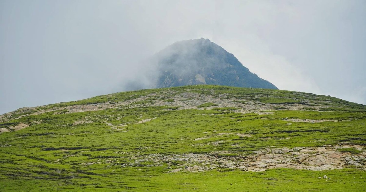 Senderismo en la Montaña Mogle Para Observar las Aves y la Naturaleza ...