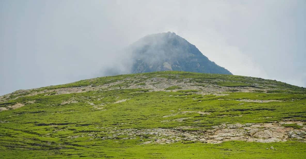 Mogle Mountain Hiking For Birding, Natures From Addis Ababa | GetYourGuide