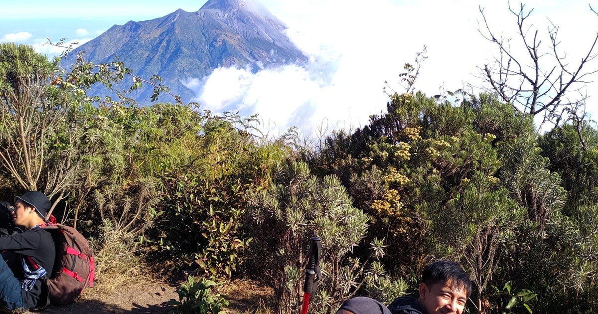 Heart of Java summit, the Magnificent Mount-Volcano trekking | GetYourGuide