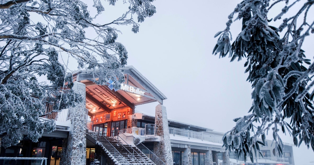 Mt Buller 1 Day Tour | Melbourne | Ski-Hire | GetYourGuide