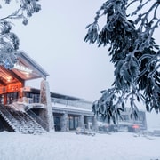 Mt Buller 1 Day Tour | Melbourne | Ski-Hire | GetYourGuide