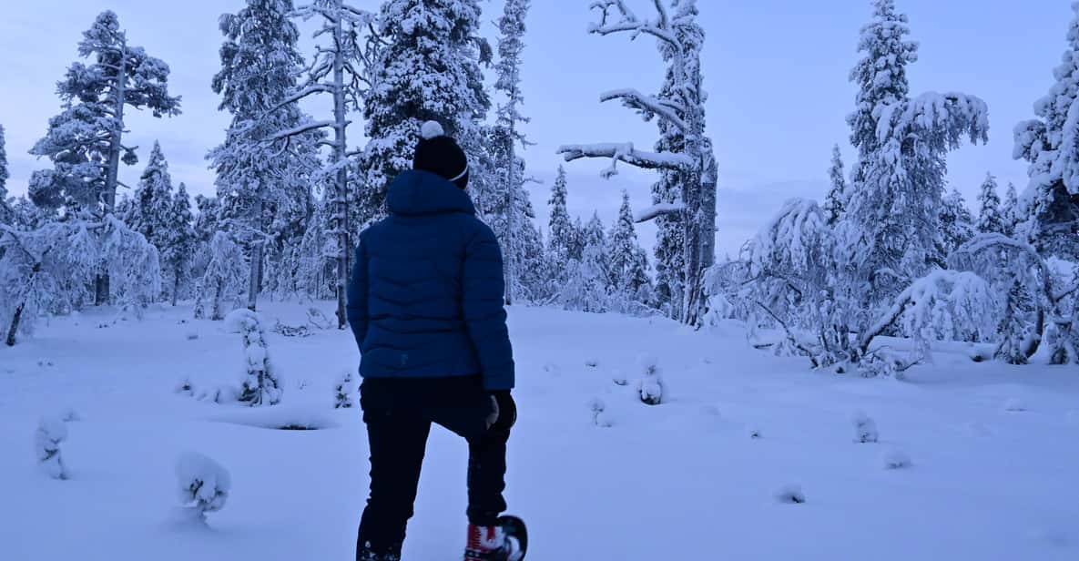 Saariselkä: Snowshoeing Tour in Urho Kekkonen National Park | GetYourGuide