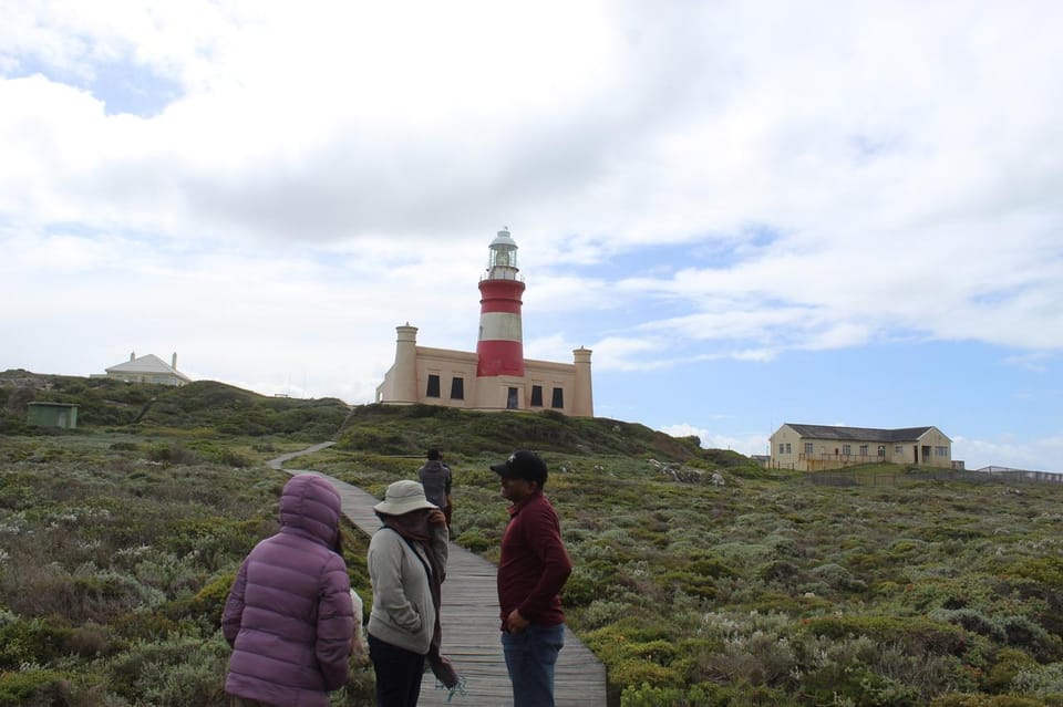 Cape Town: Cape Agulhas Private Tour | GetYourGuide