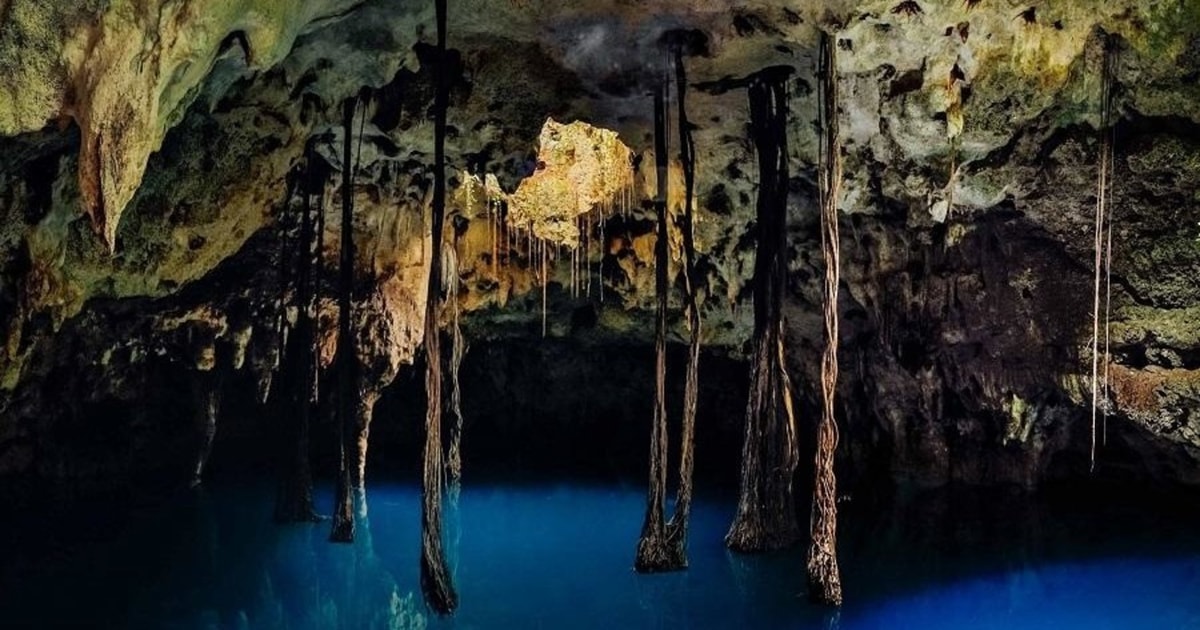 Excursión Xenotes Oasis Maya | GetYourGuide