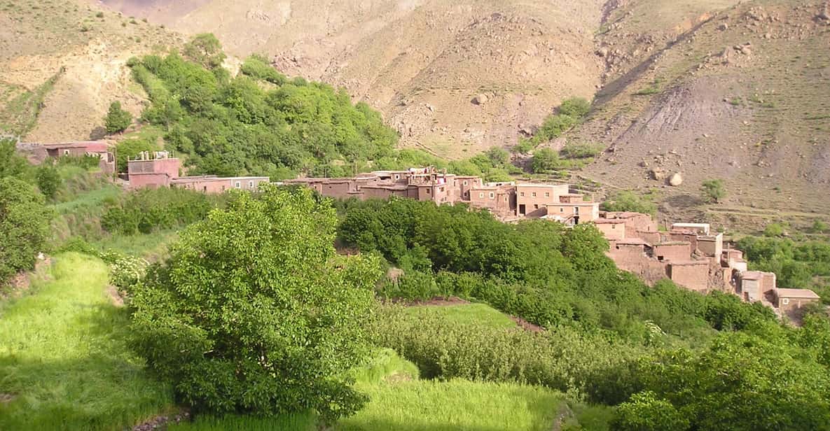 Marrakech: Ourika Valley, Atlas Mountain, Waterfall Day Trip | GetYourGuide