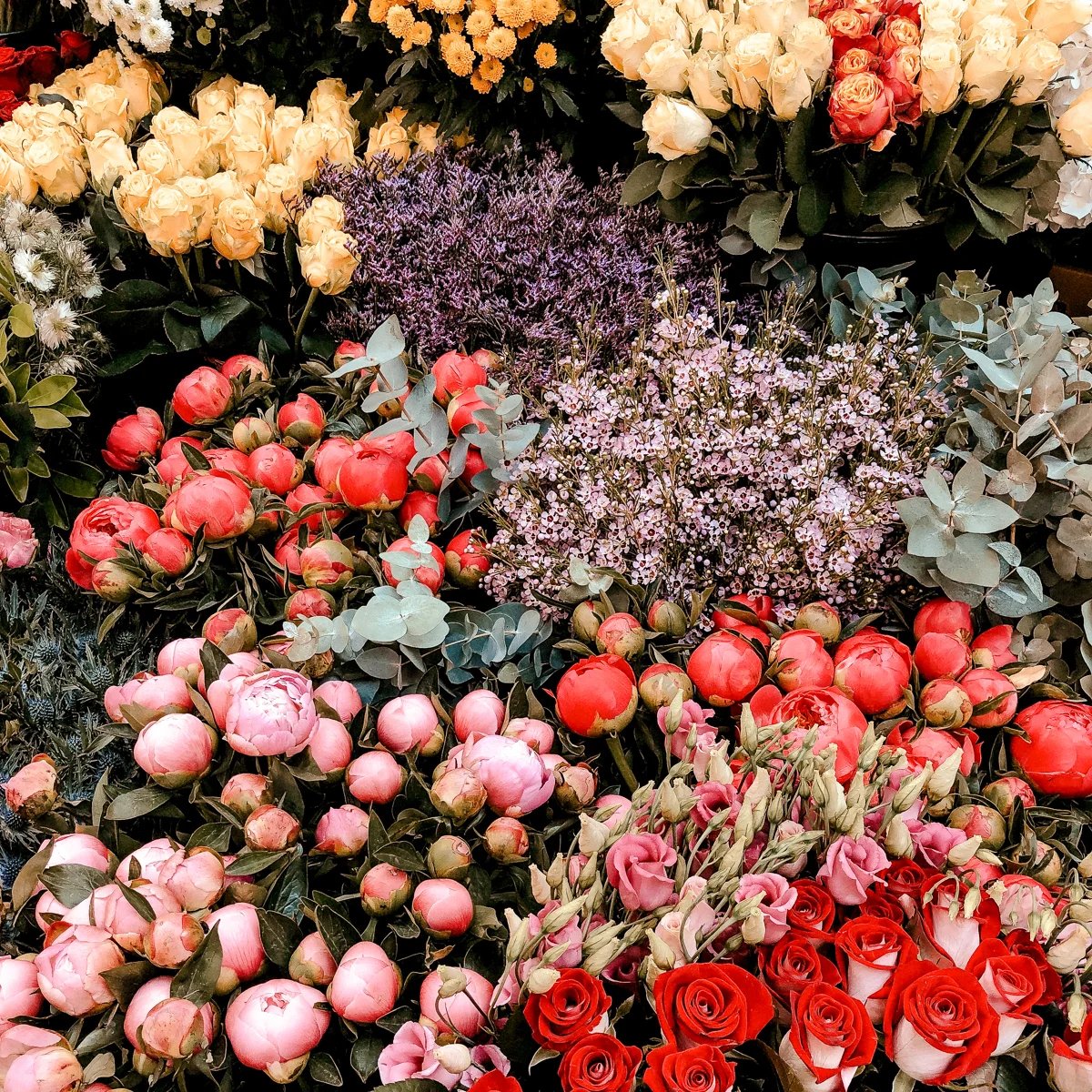 Paris Hidden Gems: 9 Things To See and Do