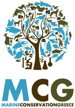 Marine Conservation Greece | GetYourGuide Supplier