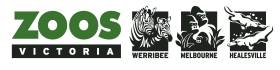 Zoos Victoria | GetYourGuide Supplier