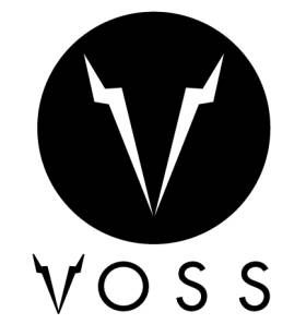 Voss Events | GetYourGuide Supplier
