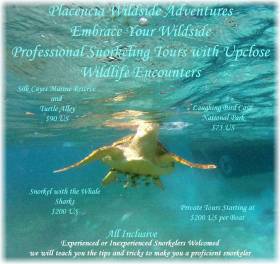 Placencia Wild Side Adventures | GetYourGuide Supplier