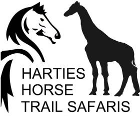 Harties Horse Trail Safaris | GetYourGuide-aanbieder