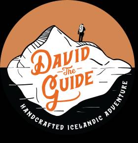 David The Guide Iceland | GetYourGuide 공급업체