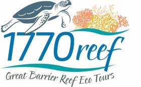 1770 Reef - Great Barrier Reef Eco Tours | GetYourGuide-aanbieder