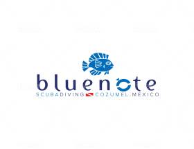 Blue Note Scuba | GetYourGuide-Anbieter