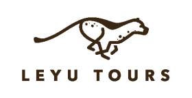 Leyu Tours | GetYourGuide-Anbieter
